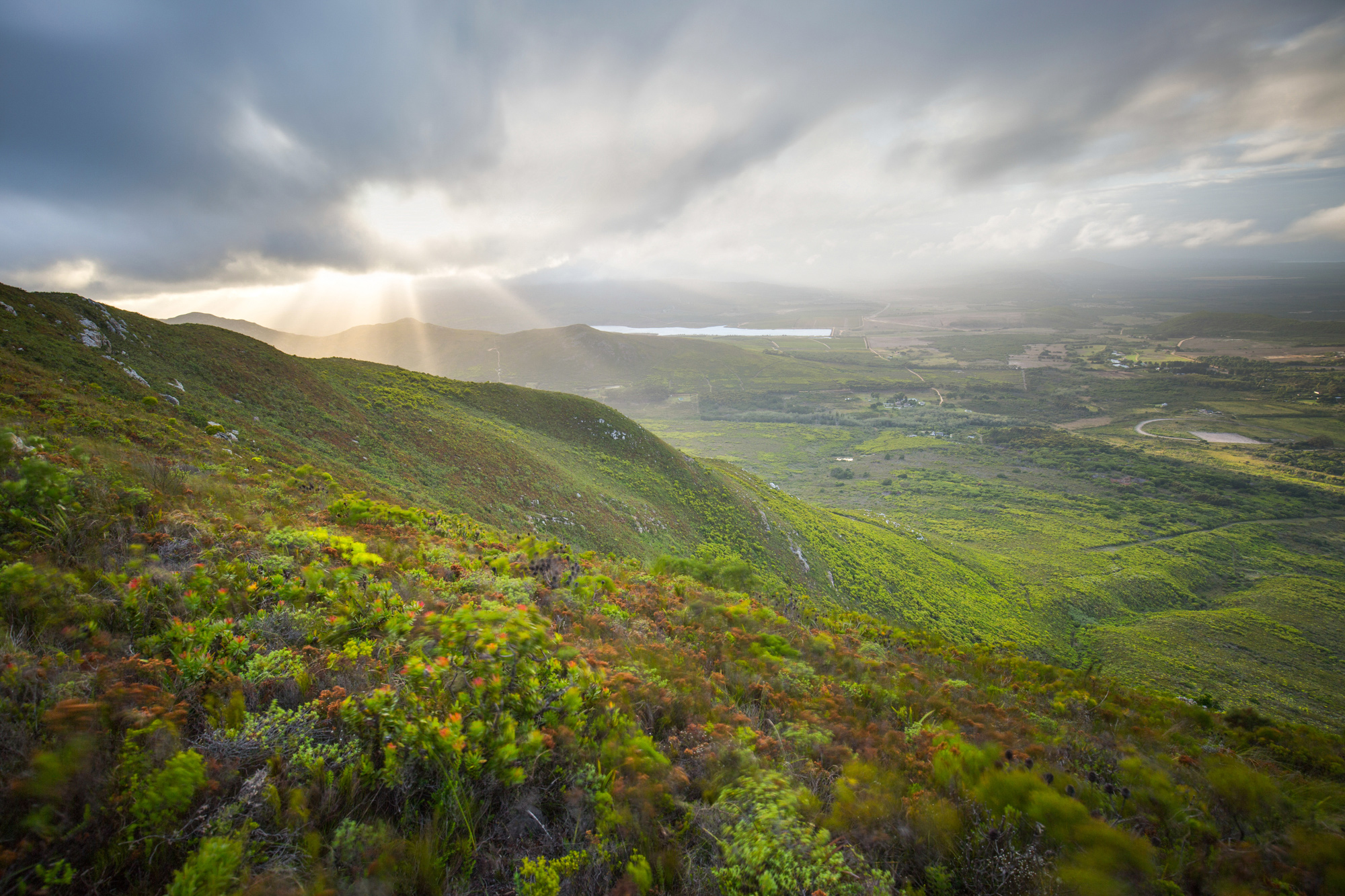 The Secret Guide to the Overberg - Part 2 | Grootbos Blog