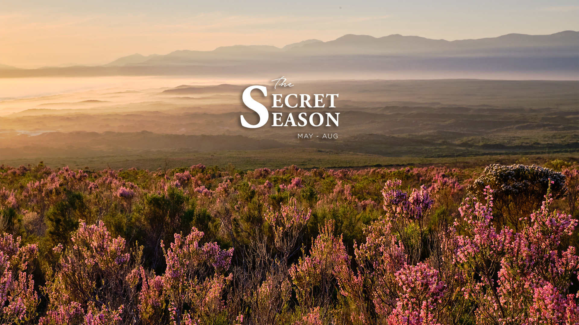 Autumn to Winter - Secret Season - Grootbos