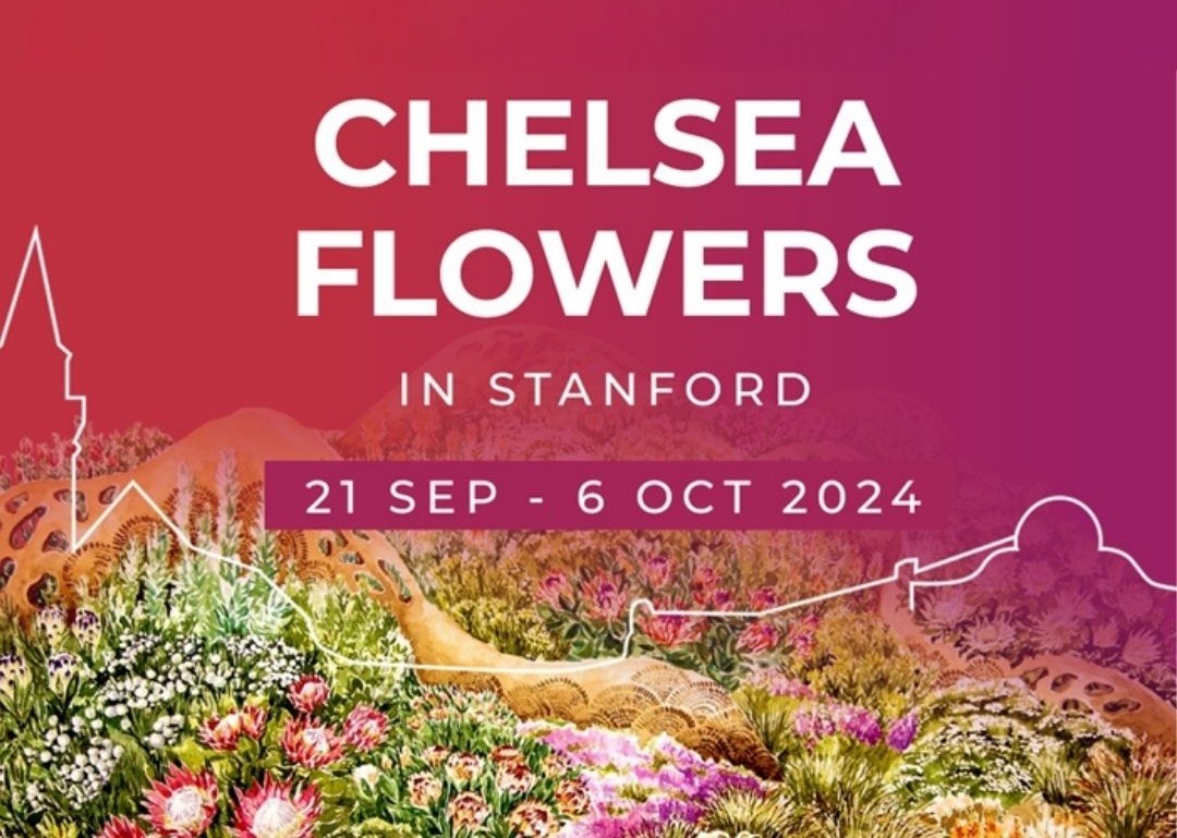 Chelsea Flowers In Stanford | July 2024 - Grootbos Private Nature Reserve™