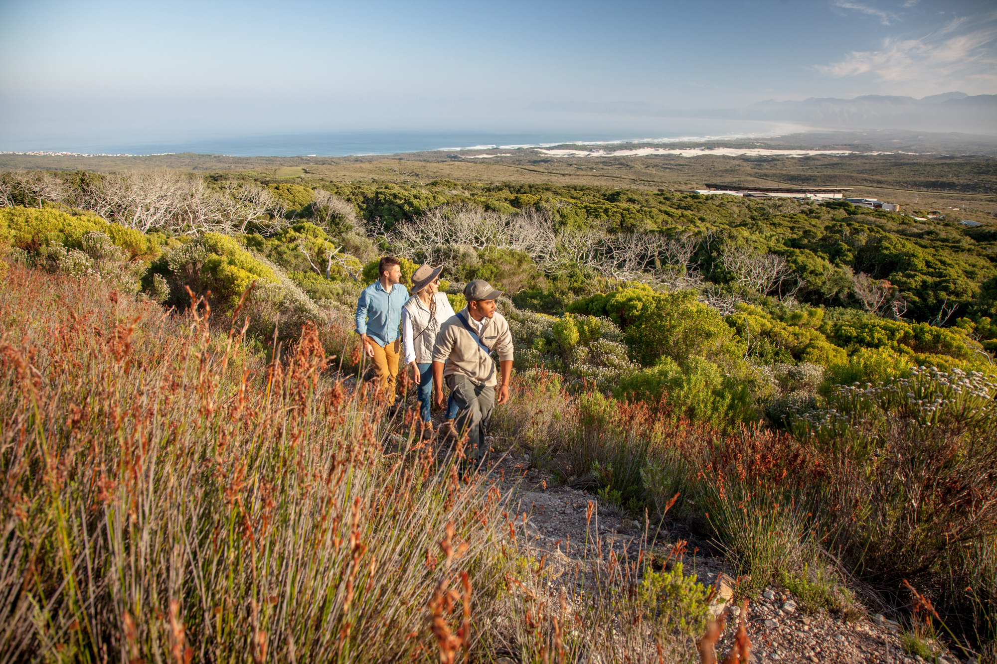 Die beste natuur wandel- en staproetes in Suid-Afrika | Grootbos