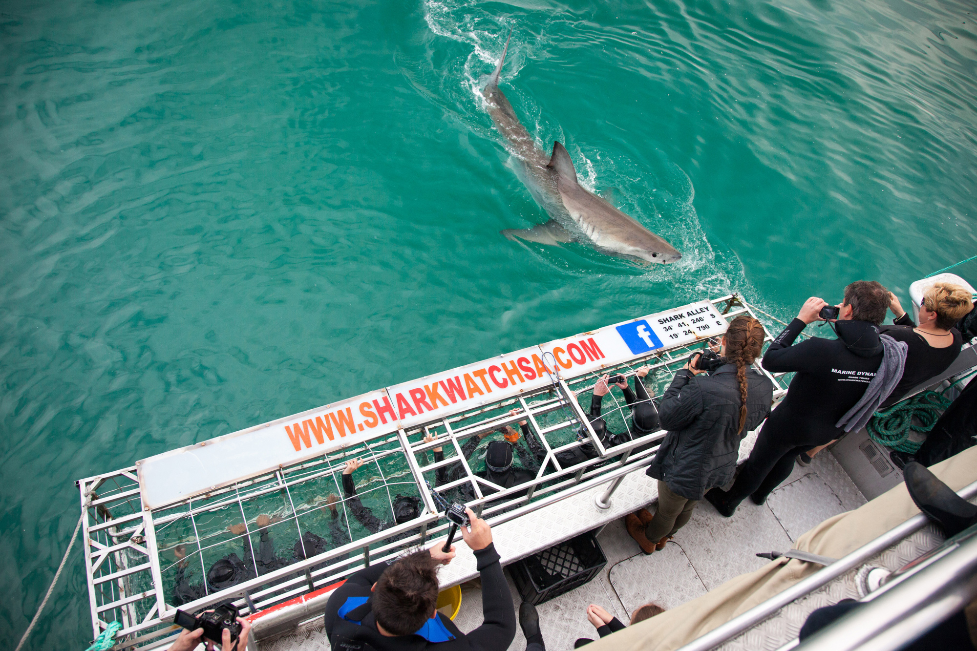 Luxury Shark Cage Diving | Grootbos Private Nature Reserve™
