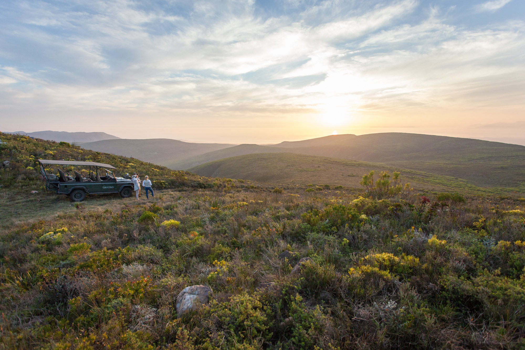 Conservation in South Africa and Grootbos' role in nature
