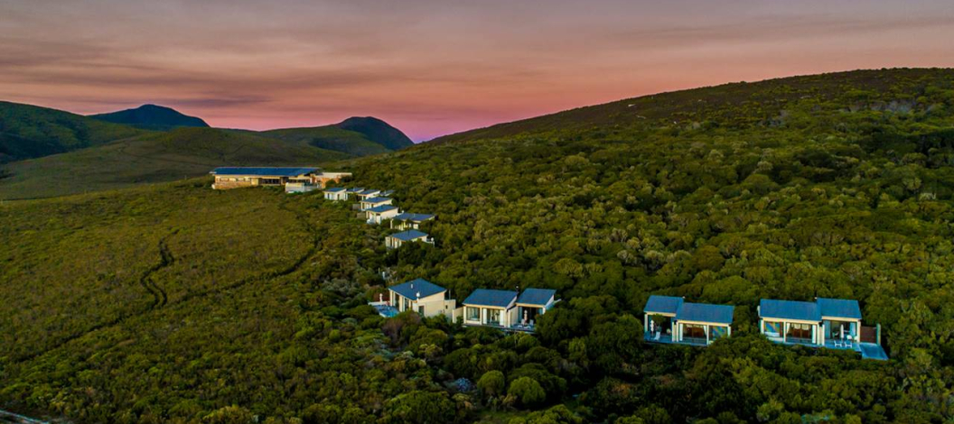 Fynbos, the elixir of life - Grootbos Private Nature Reserve - Gansbaai