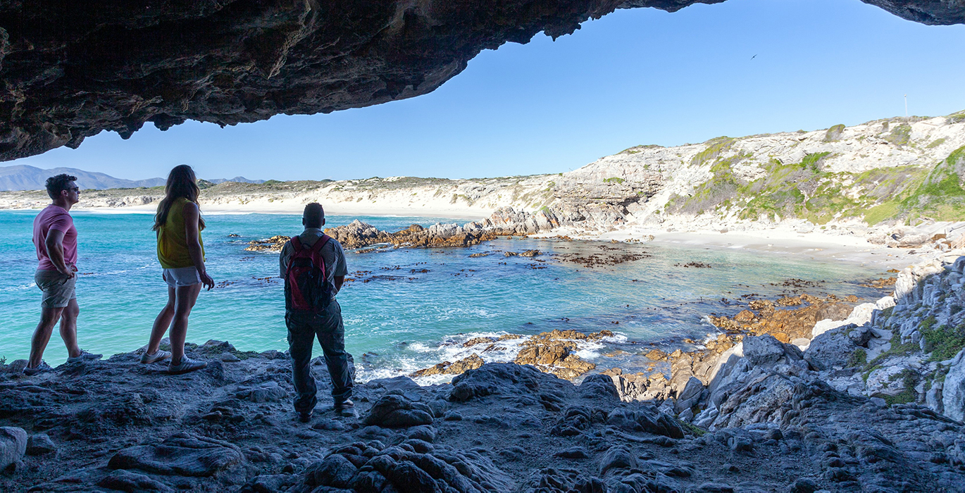 The Latest News From Grootbos | November 2023 - Grootbos Private Nature ...