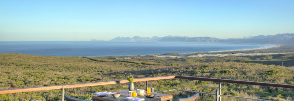 Spring Splendour - Grootbos Private Nature Reserve™